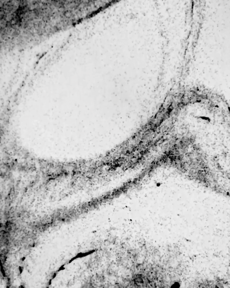 Order in chaos: Industrial Design system based on nature’s behaviour ...