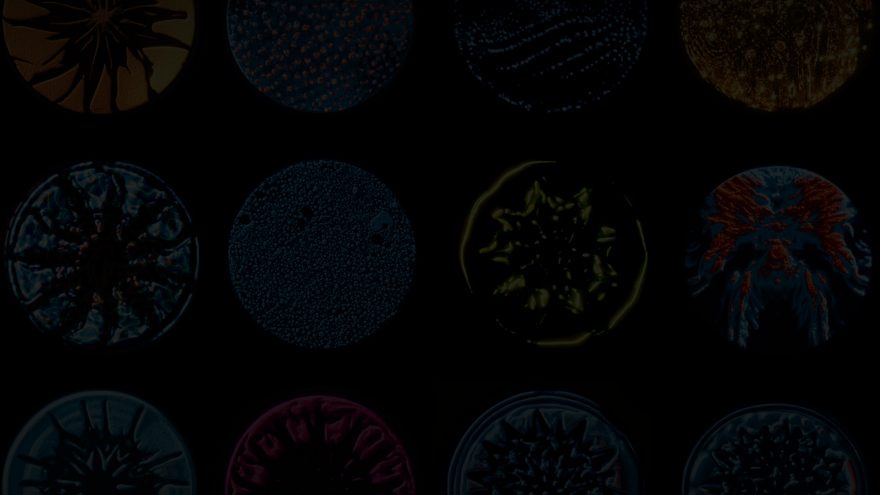 SAES Industrial - Getters & Dispensers